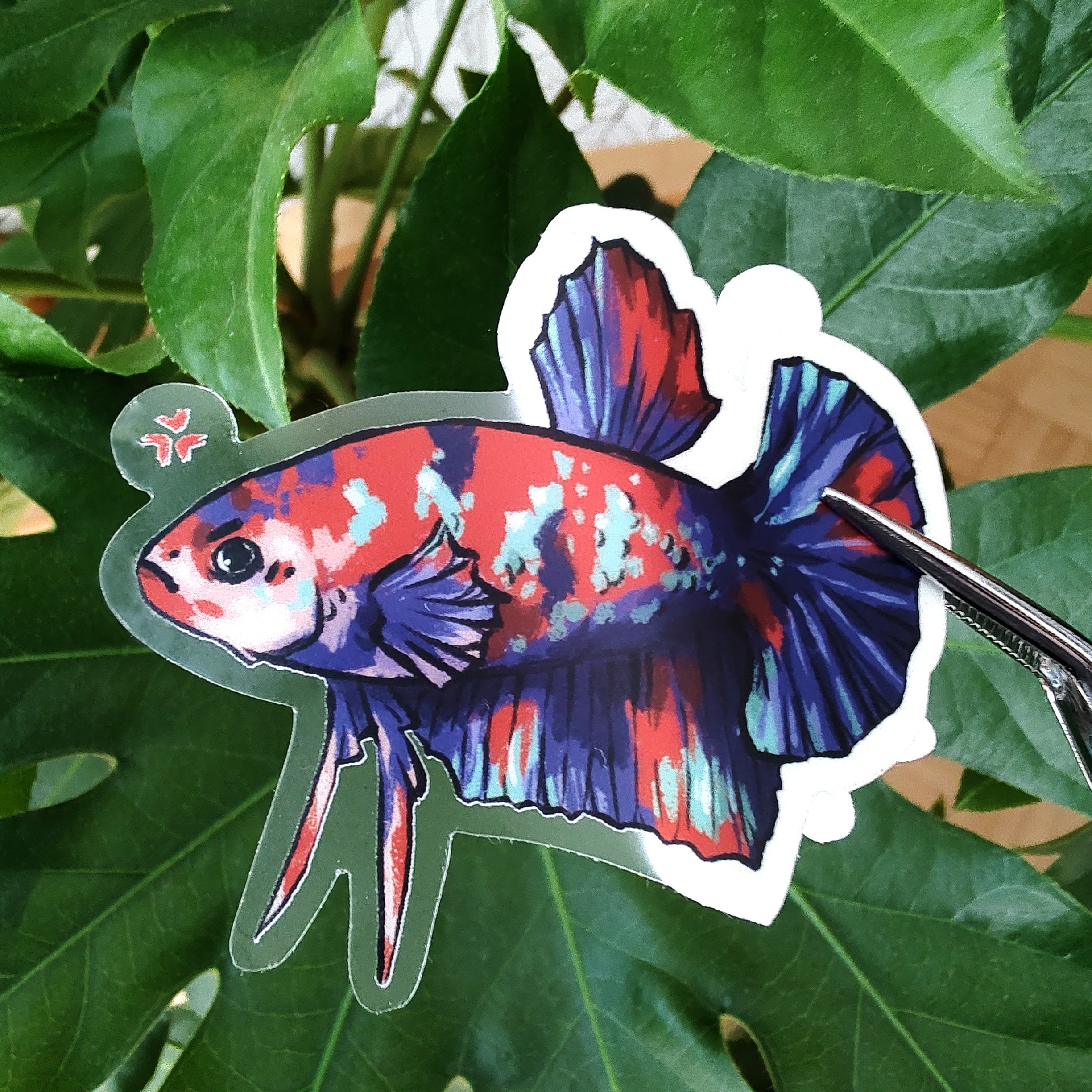 KOI PLAKAT BETTA Clear Sticker Colourful Marble Fighting - Etsy