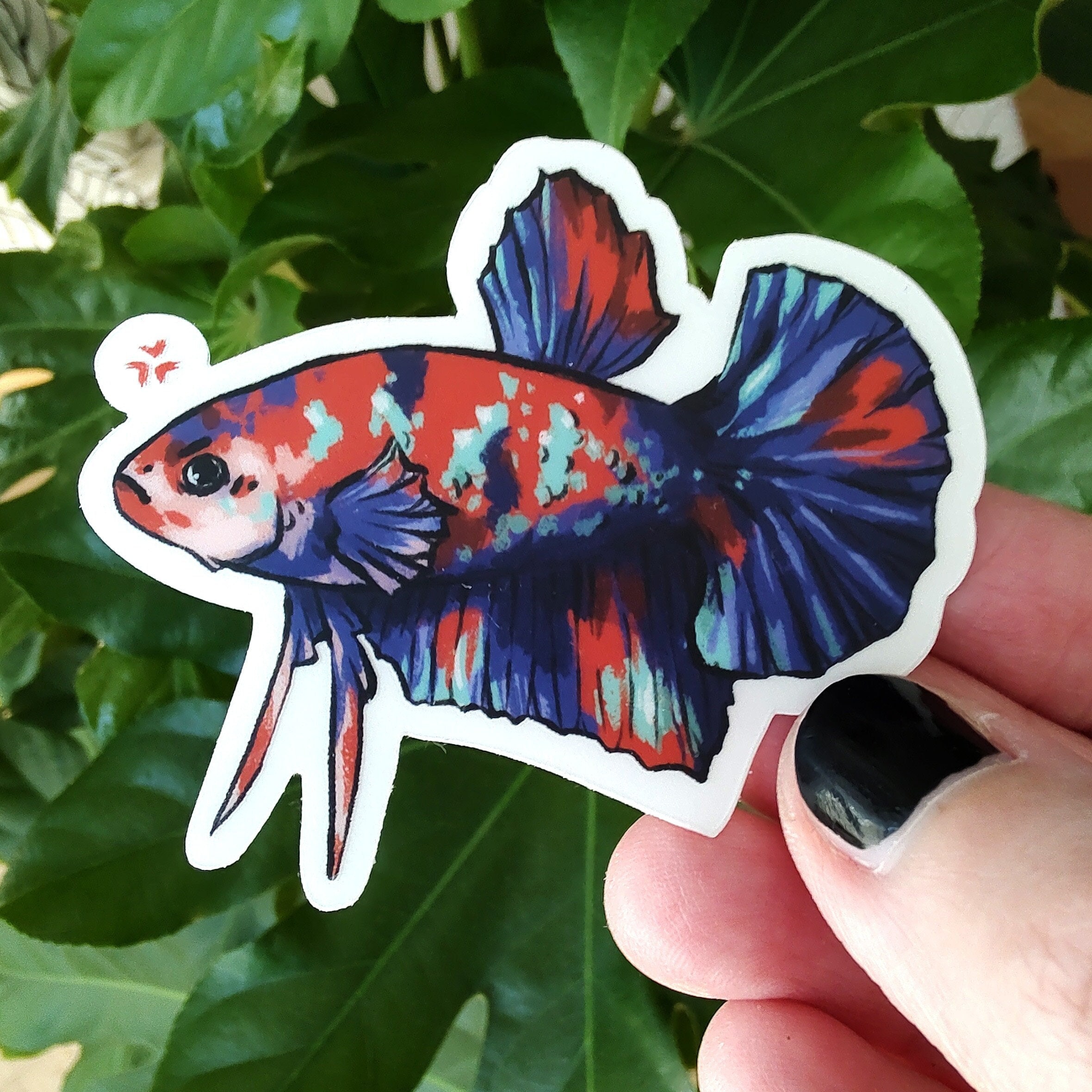 KOI PLAKAT BETTA Clear Sticker Colourful Marble Fighting - Etsy