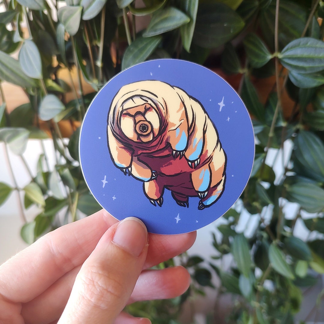 TARDIGRADE IN SPACE Sticker | cute Water Bear Microfauna Biology Art ...