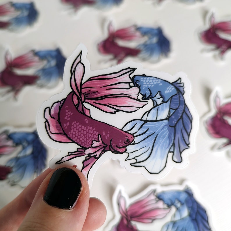 BETTA FISH Clear Sticker Pink and Blue Fighting Fish Art - Etsy