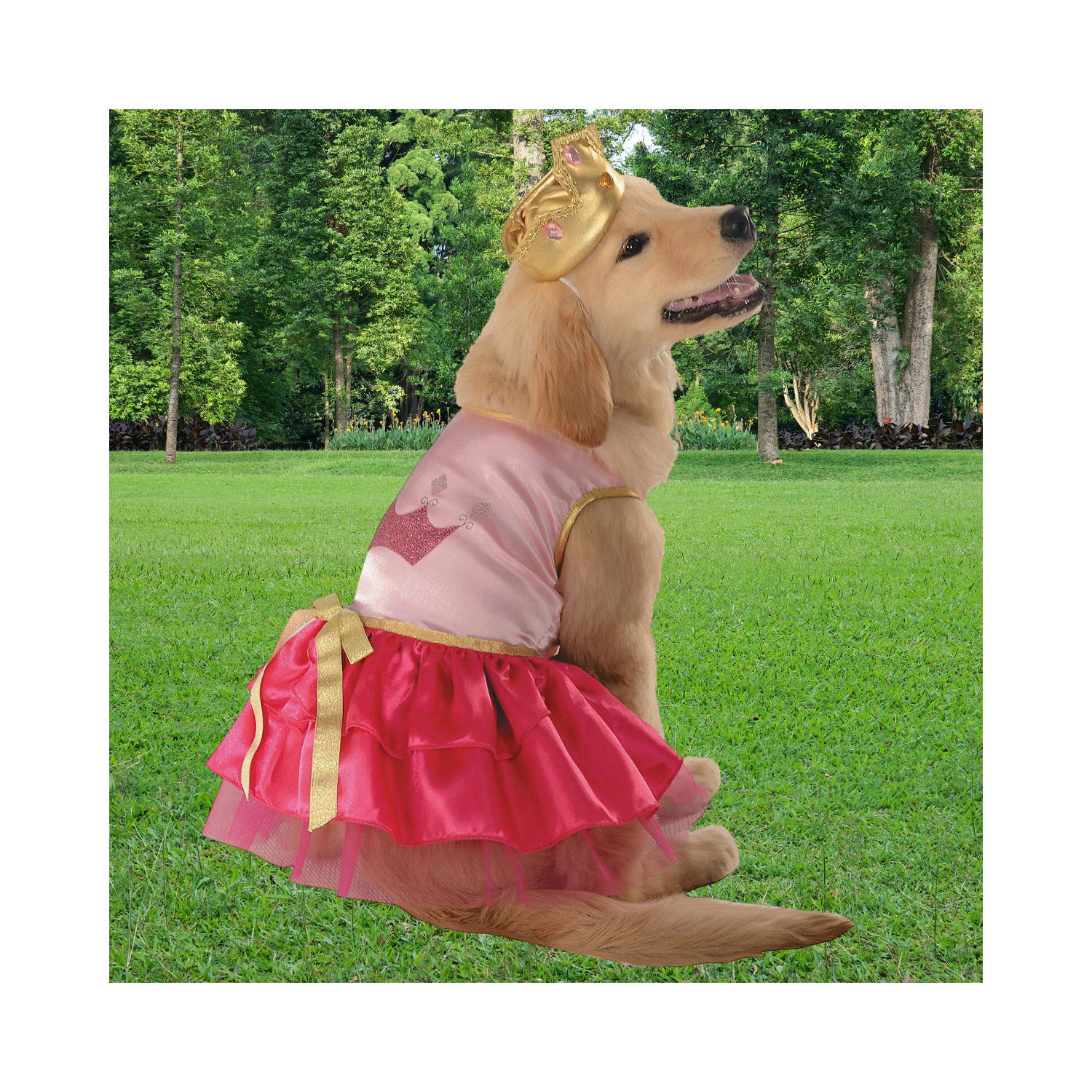 Princess Costumes For Dogs