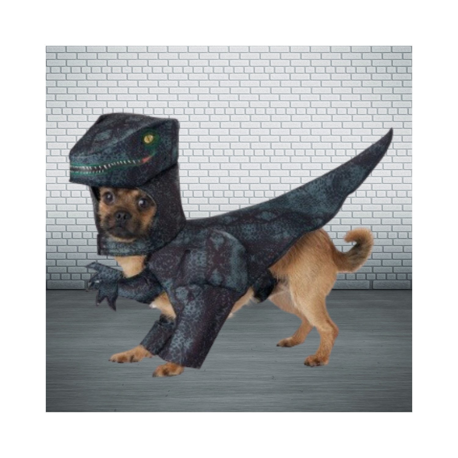 Raptor Dinosaur Costumes For Dogs