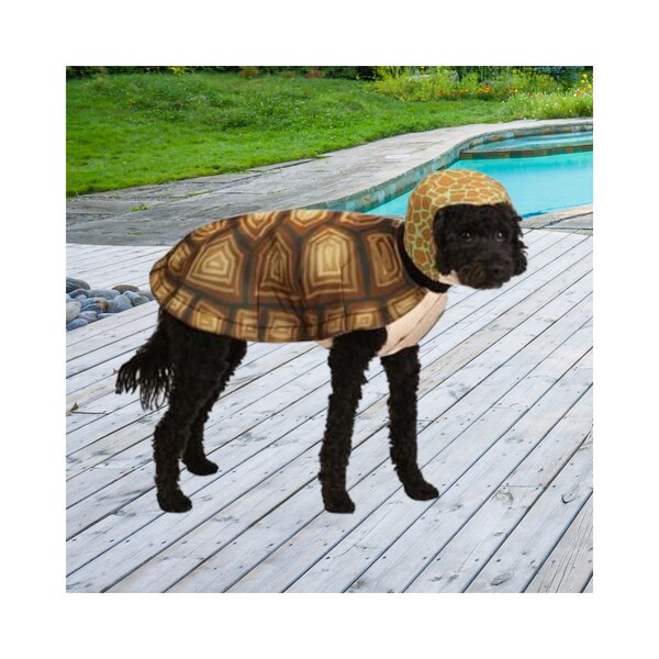 Sea Turtle Costume - Etsy