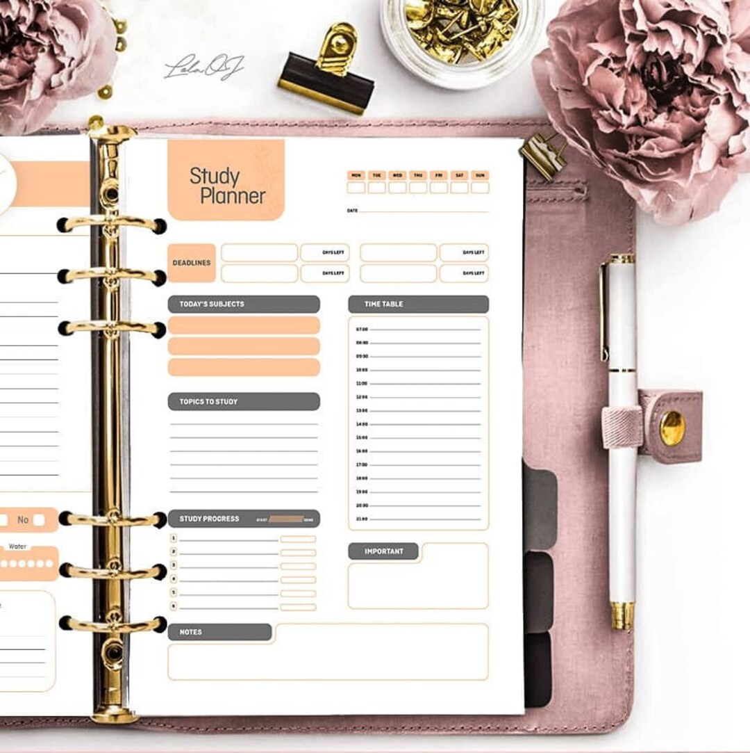 Printable Study Planner, Print at Home Study Plan, Student Planning ...