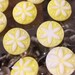 15 Glass Buttons - Opaque Glass Button Set - 11 Mm - Etsy