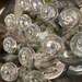 12 Aurora Borealis Glass Buttons - 18 Mm - Etsy