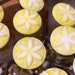 15 Glass Buttons - Opaque Glass Button Set - 11 Mm - Etsy
