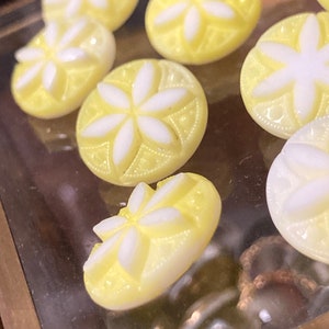 15 Glass Buttons - Opaque Glass Button Set - 11 Mm - Etsy