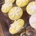 15 Glass Buttons - Opaque Glass Button Set - 11 Mm - Etsy