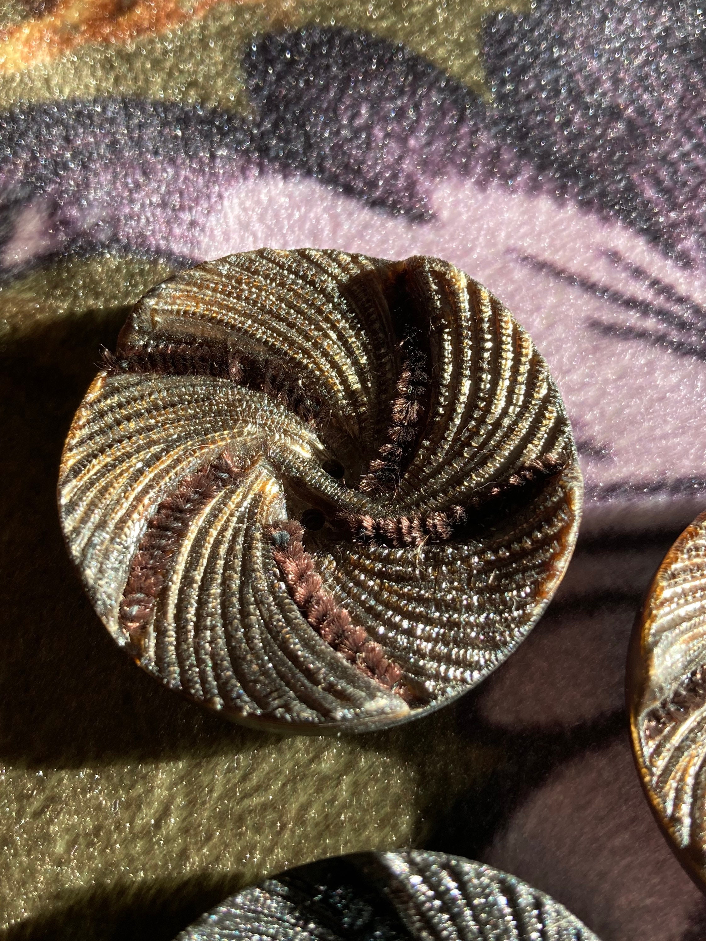 old french production dome buttons 3 wonderful vintage buttons unusual ...