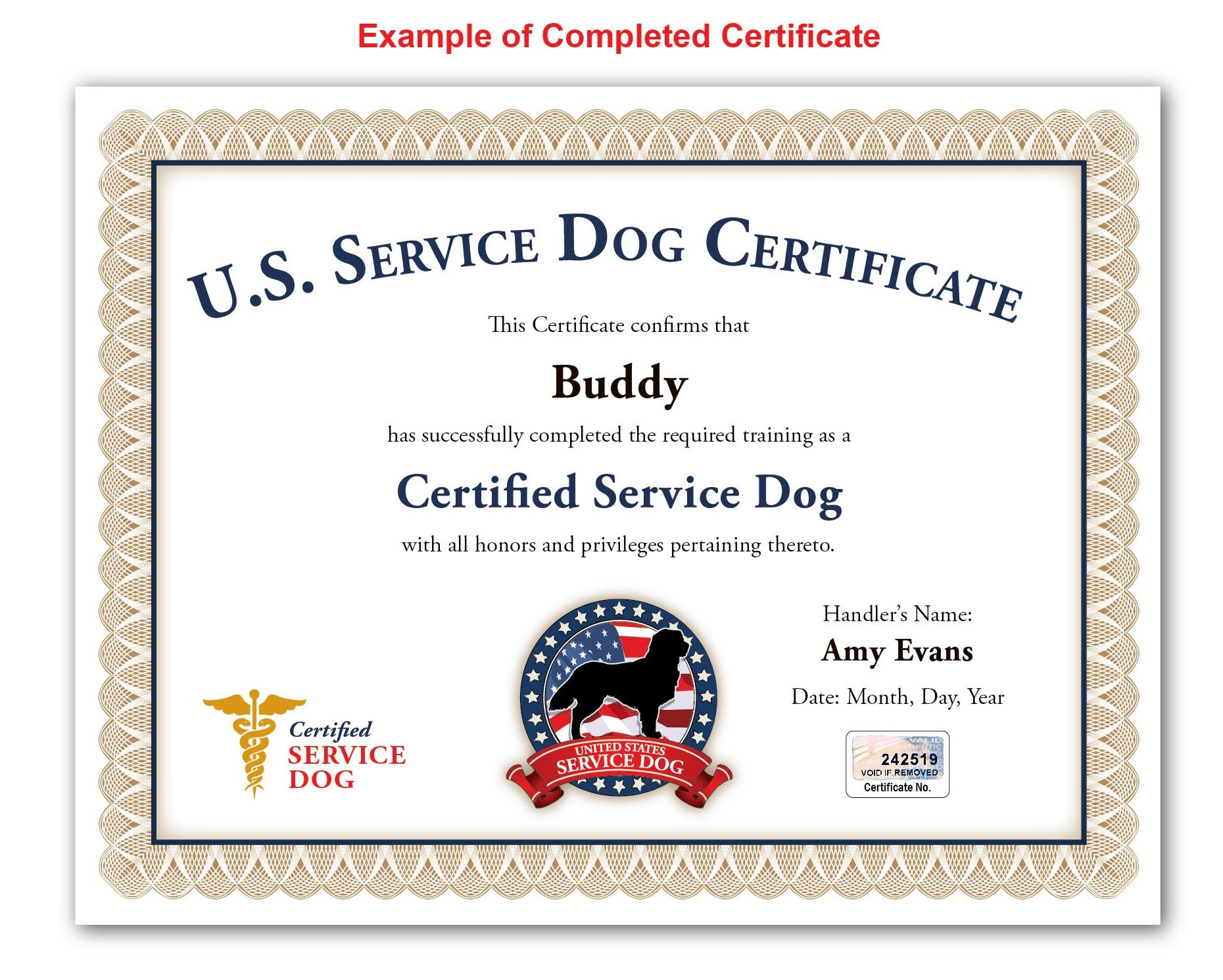 How Can I Get A Certificate For A Service Dog