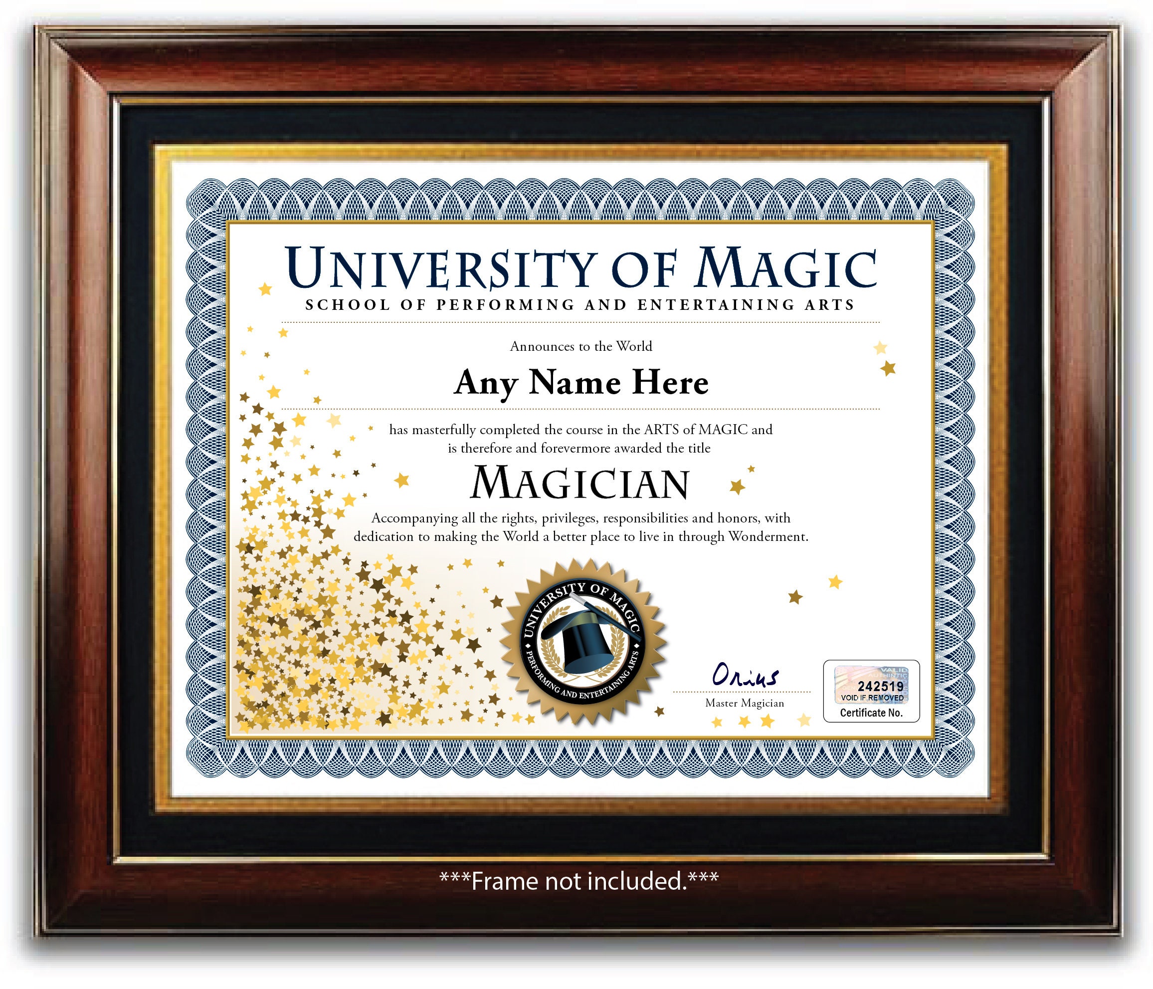 Personalized University of Magic Certificate Digital or | Etsy