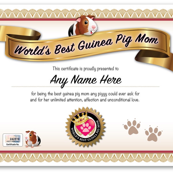 Best Boyfriend Award Certificate - Etsy