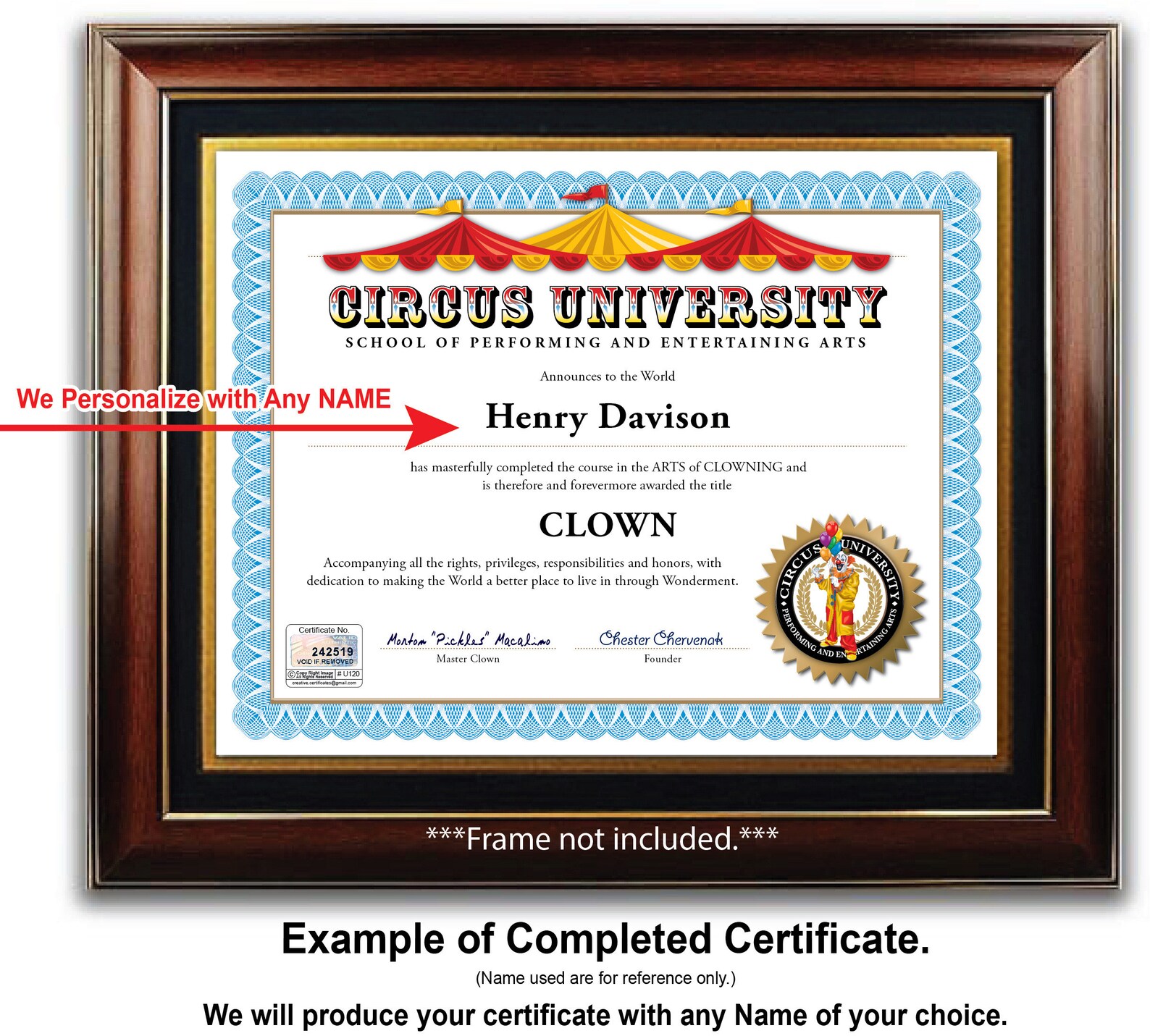 PERSONALIZED Circus University Certificate DIGITAL or | Etsy