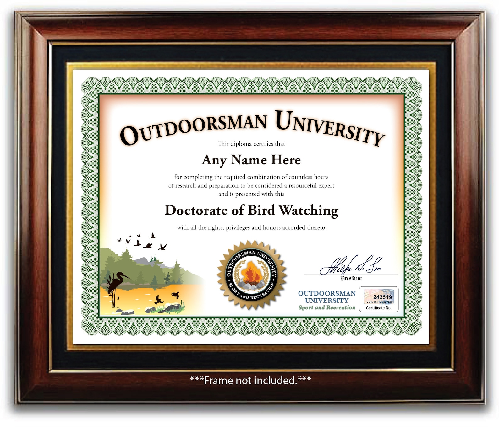 PERSONALIZED Bird Watching Certificate - DIGITAL or PRINTED ...