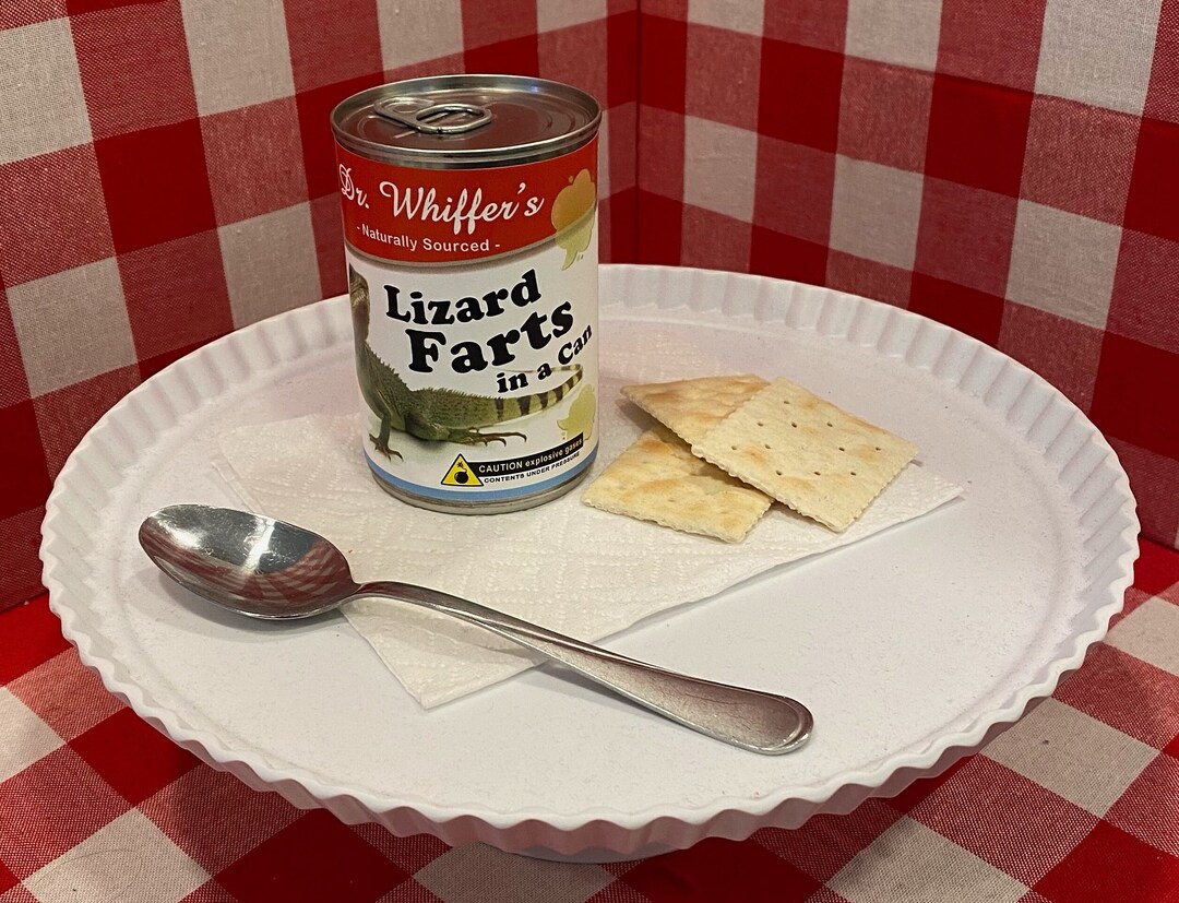 2X Funny Lizard Farts Soup Can Labels - GREAT GIFT for Pet Lover Owner ...