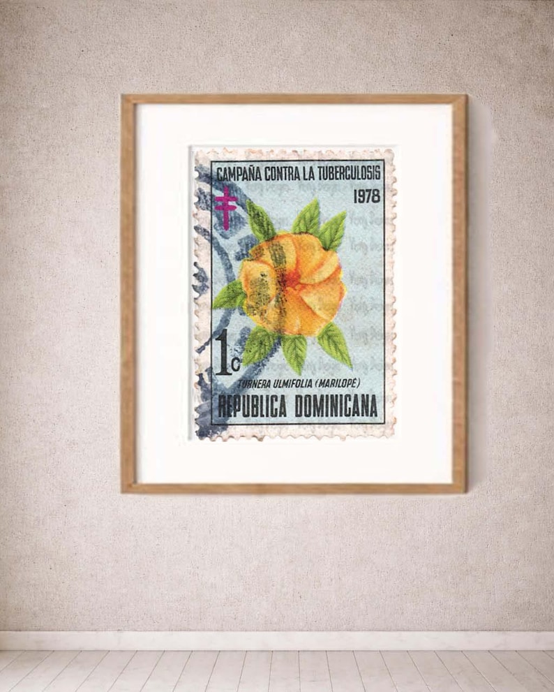 Vintage Botanical Stamp Art Print | Mid-century Nature Illustration ...