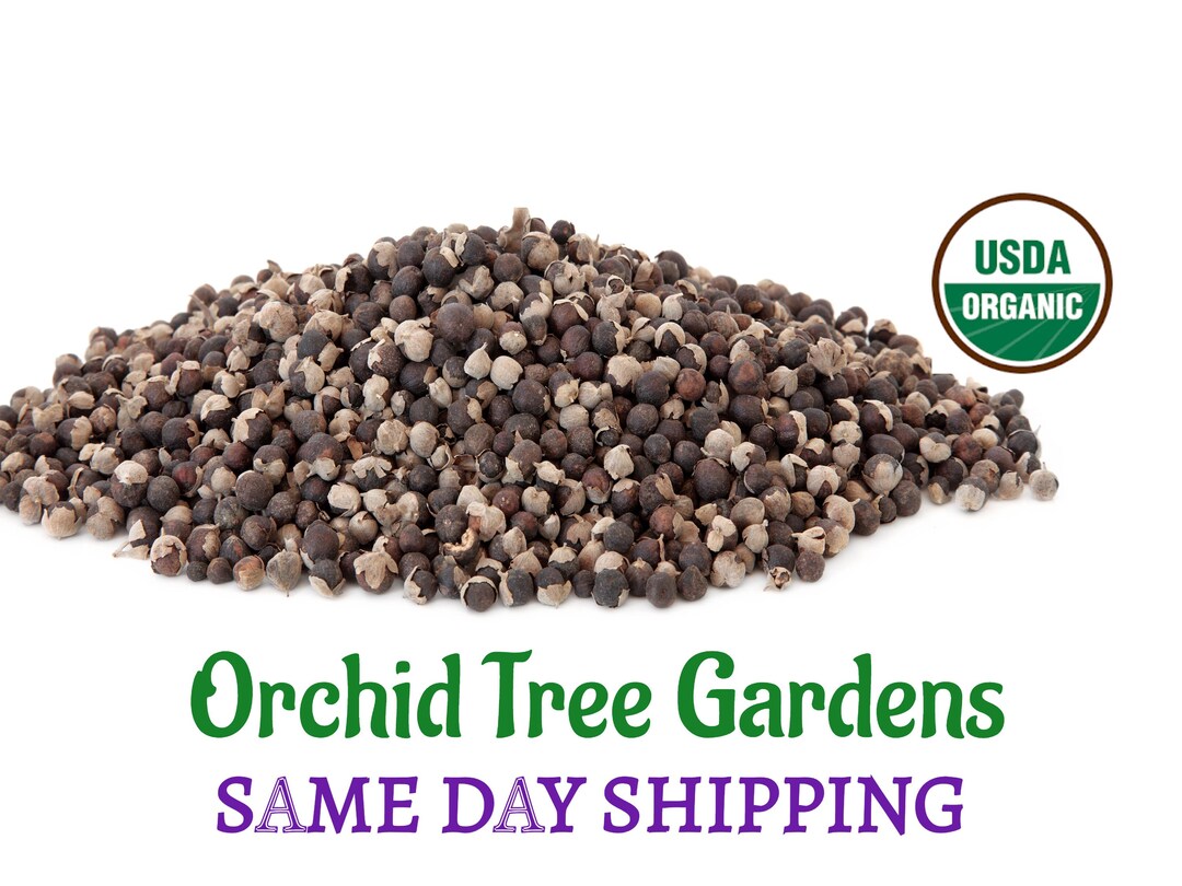Organic Vitex Berries (chaste Tree) - Whole UDSA ORGANIC Same Day ...