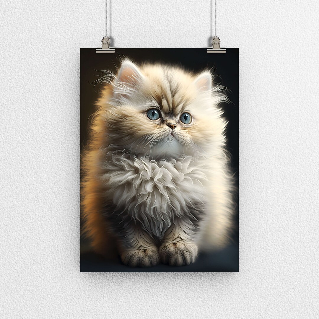 Fluffy Cute Cat Kitten Poster Print, Chubby Furry, Sweet Feline Friend ...