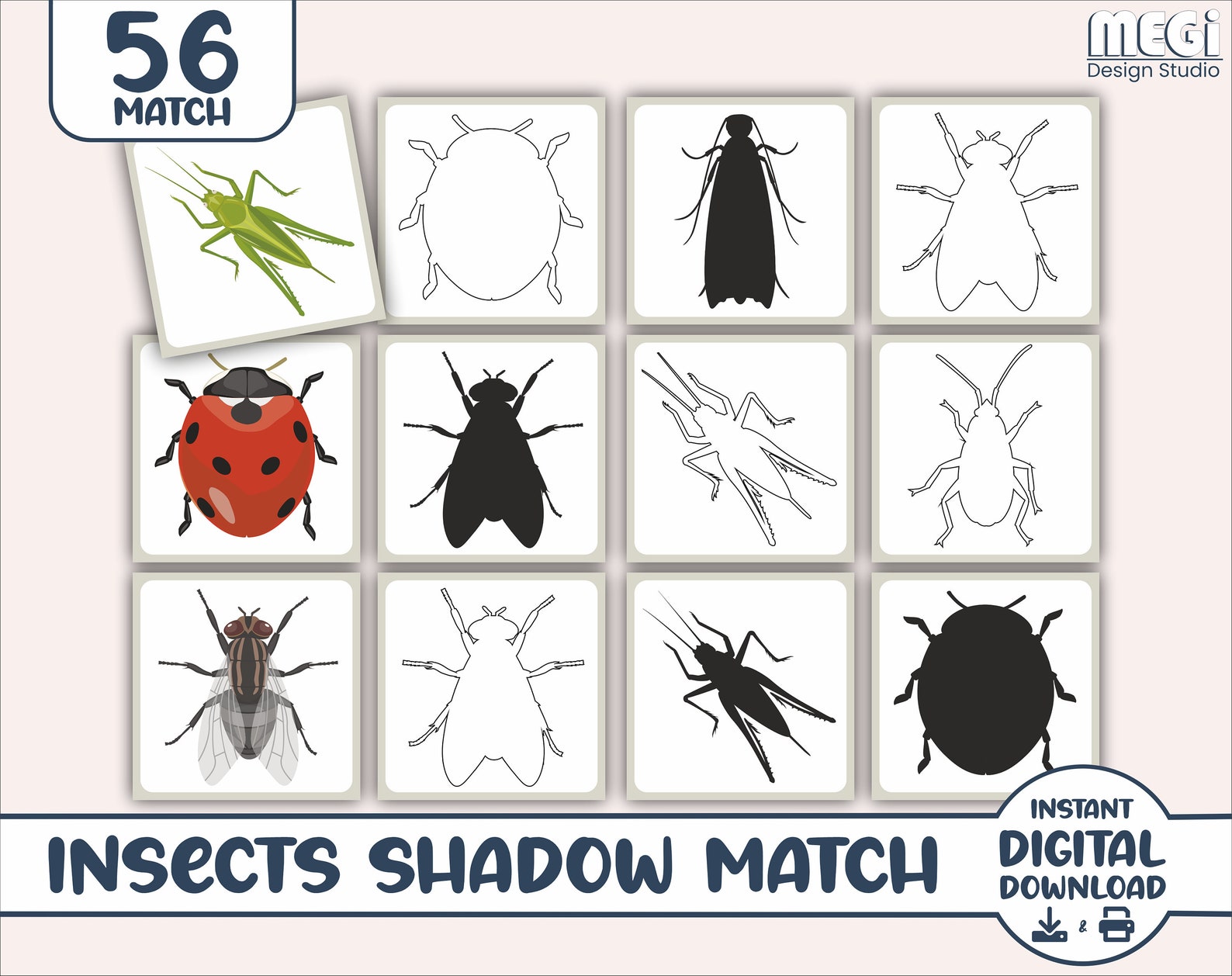 Insect Shadow Match Game With Realistic Pictures 28 Insect - Etsy