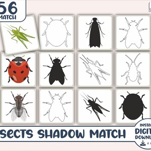 Insect Shadow Match Game With Realistic Pictures 28 Insect - Etsy