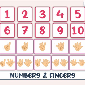 Number Match Preschool Activity Count and Match 1 to 10 Number Matching ...