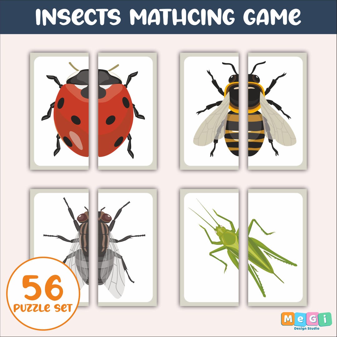 Insect Matching Activity - Insects Symmetry Puzzle for Kids - Preschool ...
