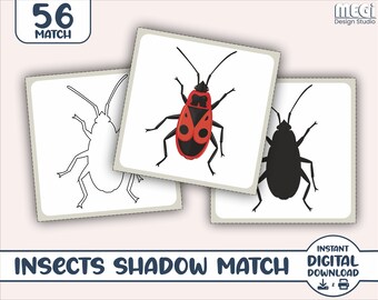 Insect Shadow Match - Etsy