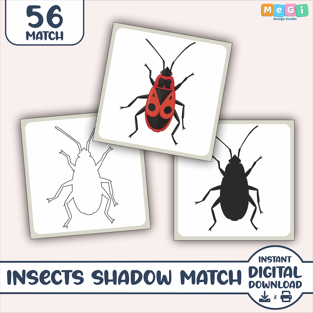 Insect Shadow Match Game With Realistic Pictures - 28 Insect 56 Match ...