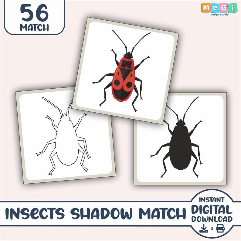 Insect Shadow Match Game With Realistic Pictures - 28 Insect 56 Match ...