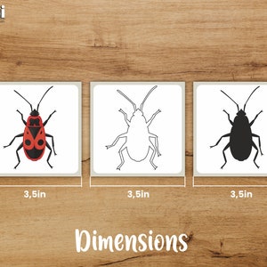 Insect Shadow Match Game With Realistic Pictures 28 Insect | Etsy