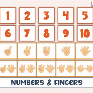Number Match Preschool Activity Count and Match 1 to 10 Number Matching ...