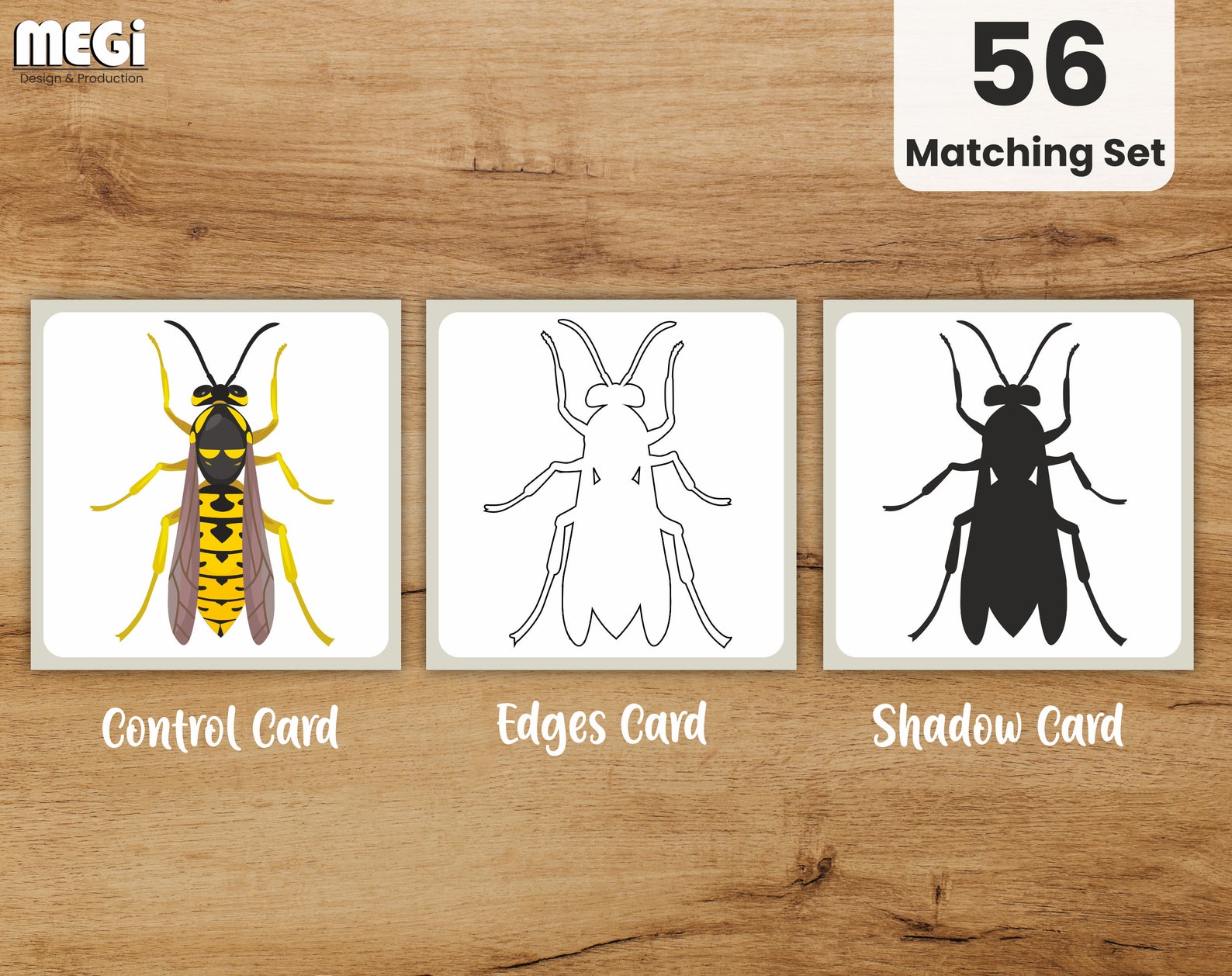 Insect Shadow Match Game With Realistic Pictures 28 Insect | Etsy