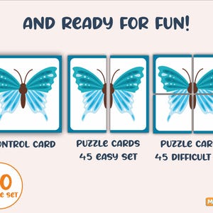 Butterfly Symmetry Activity for Kids - Preschool Butterfly Basic ...
