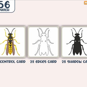 Insect Shadow Match Game With Realistic Pictures - 28 Insect 56 Match ...