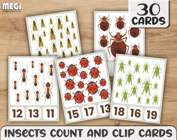 Insects Count and Clip Cards 1 to 30 Printable Counting | Etsy
