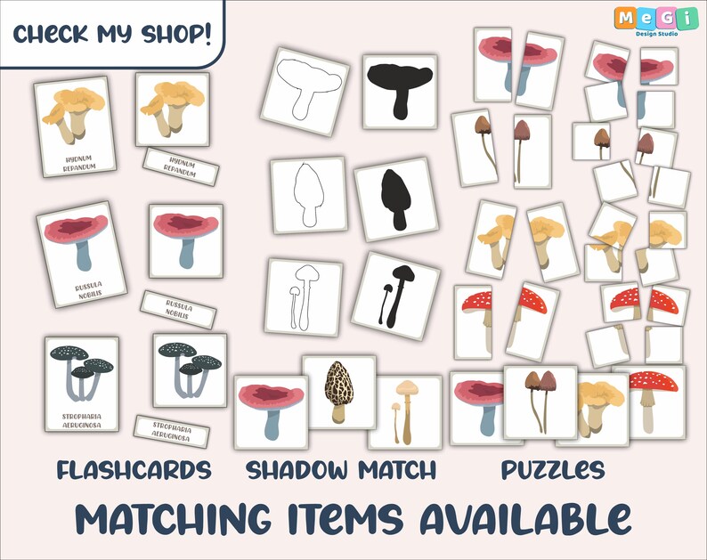 Educational Mushroom Numbers Flashcards and Worksheets - Learn and ...