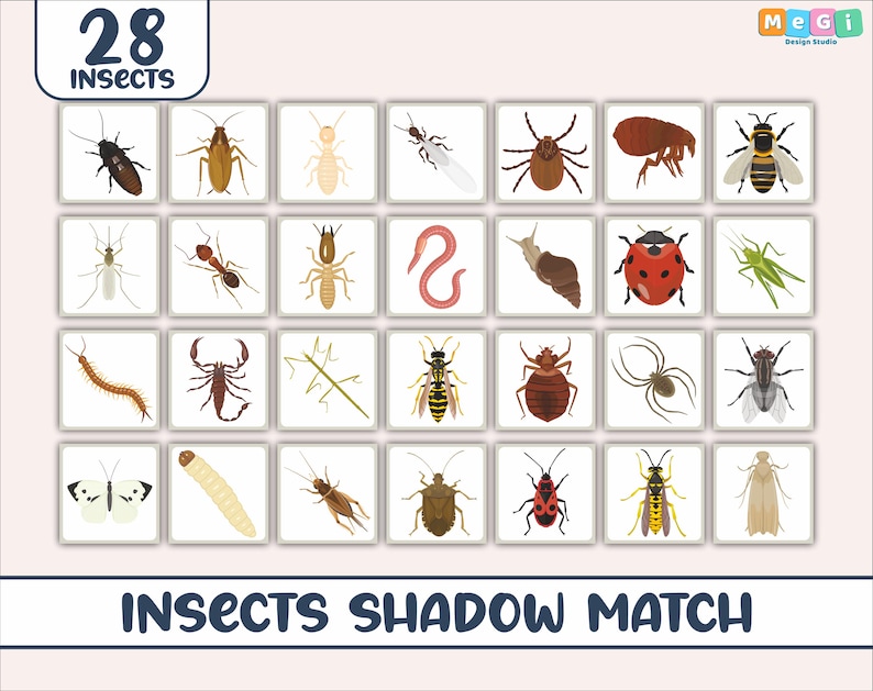 Insect Shadow Match Game With Realistic Pictures - 28 Insect 56 Match ...