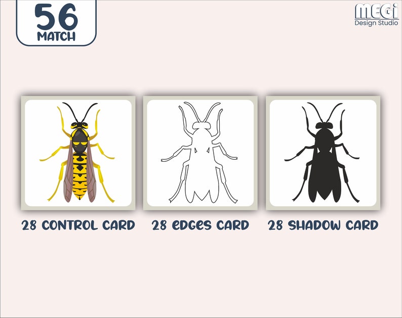 Insect Shadow Match Game With Realistic Pictures 28 Insect - Etsy