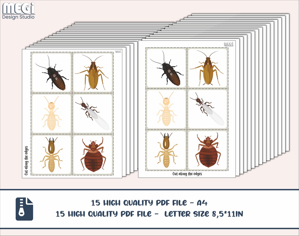 Insect Shadow Match Game With Realistic Pictures 28 Insect - Etsy