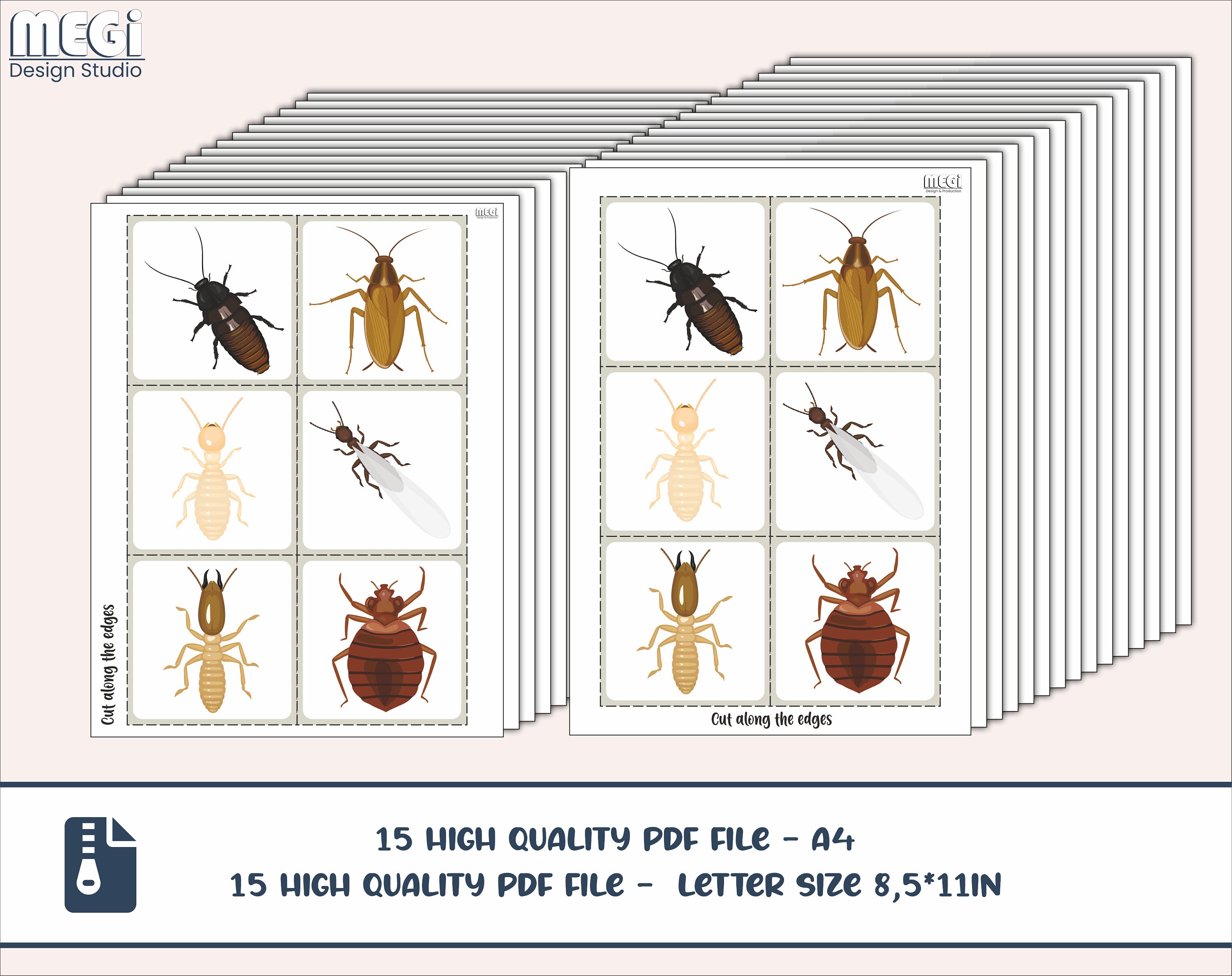 Insect Shadow Match Game With Realistic Pictures 28 Insect - Etsy