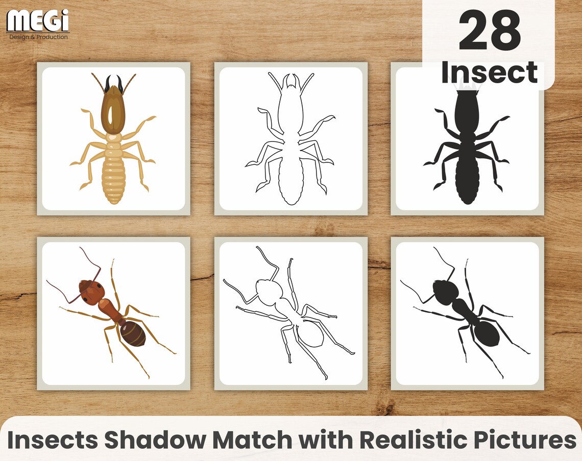Insect Shadow Match Game With Realistic Pictures 28 Insect | Etsy