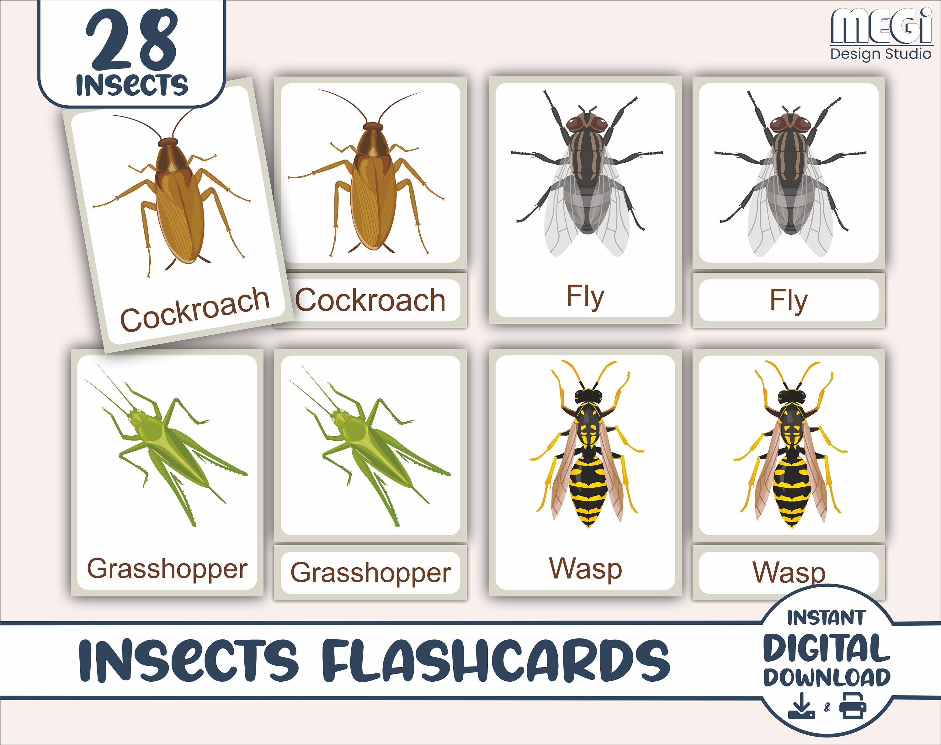 Insect Flashcards With Realistic Pictures 28 Printable - Etsy