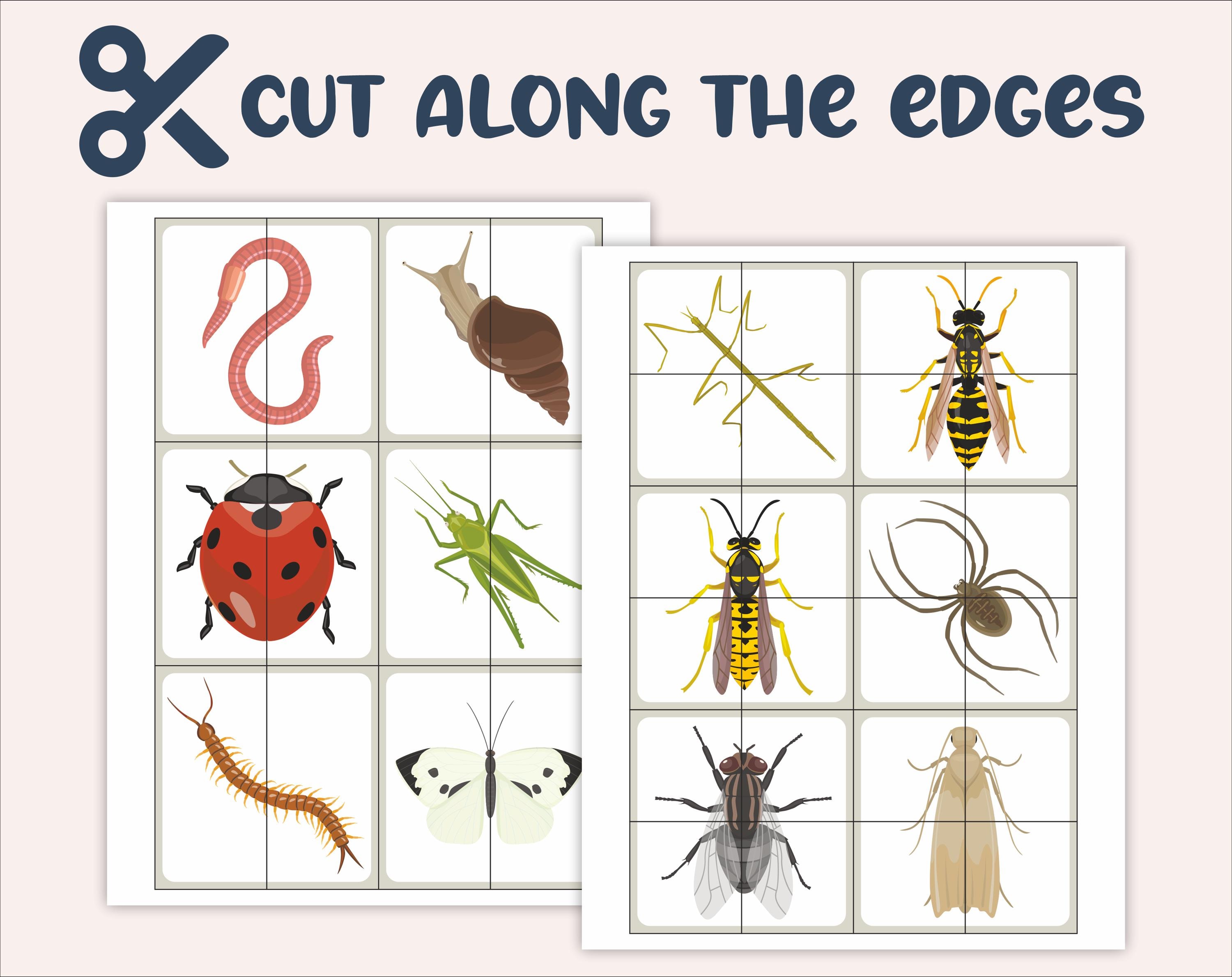 Insect Matching Activity - Insects Symmetry Puzzle for Kids - Preschool ...
