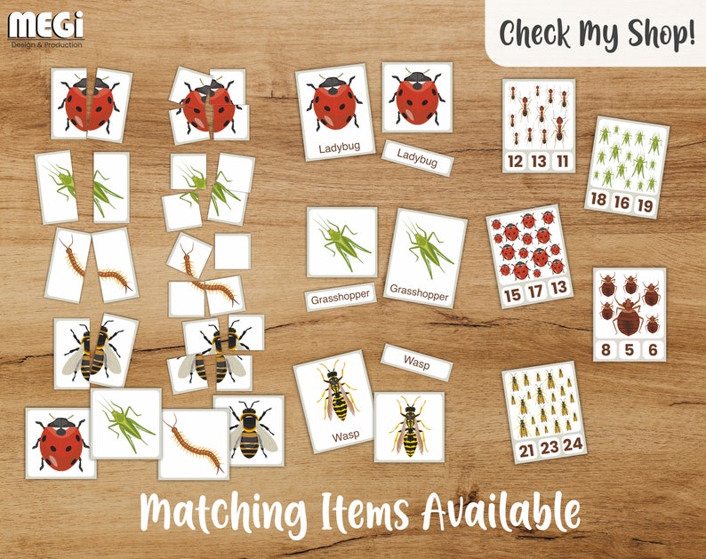 Insect Shadow Match Game With Realistic Pictures 28 Insect | Etsy