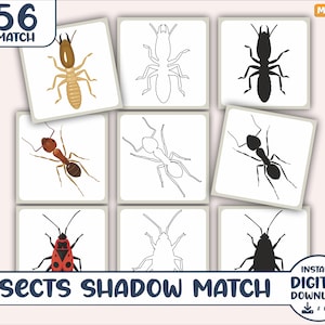 Insect Shadow Match Game With Realistic Pictures - 28 Insect 56 Match ...