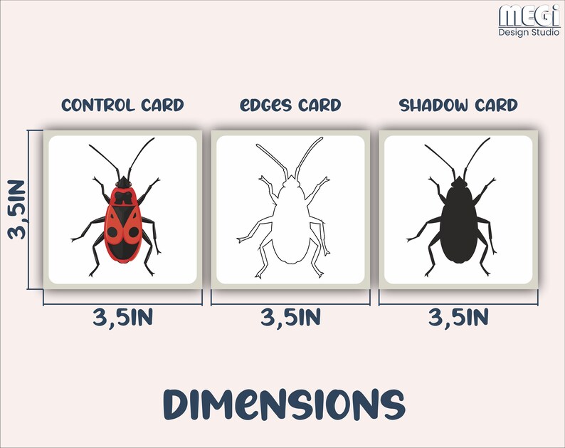 Insect Shadow Match Game With Realistic Pictures 28 Insect - Etsy