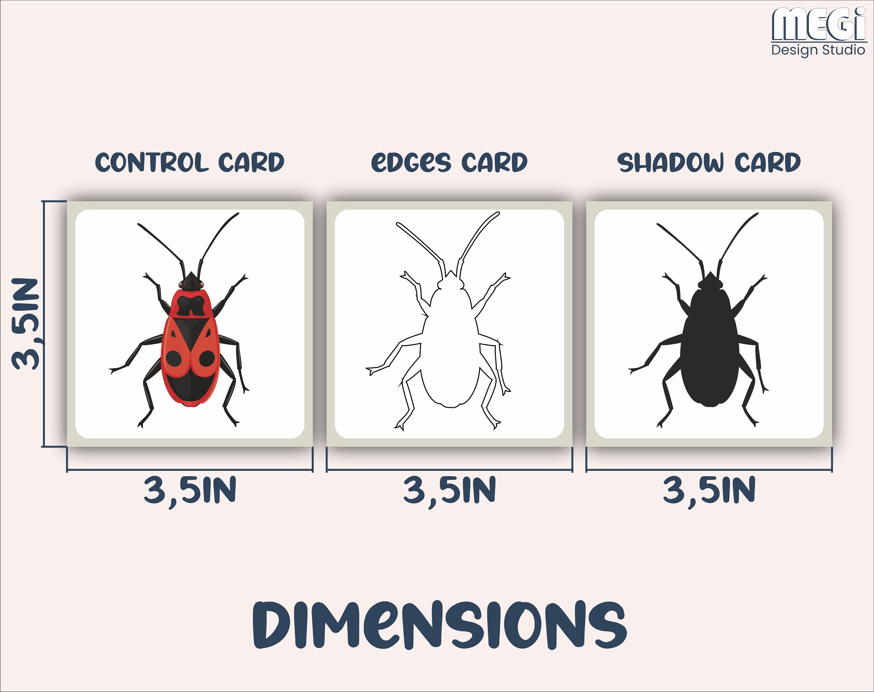 Insect Shadow Match Game With Realistic Pictures 28 Insect - Etsy