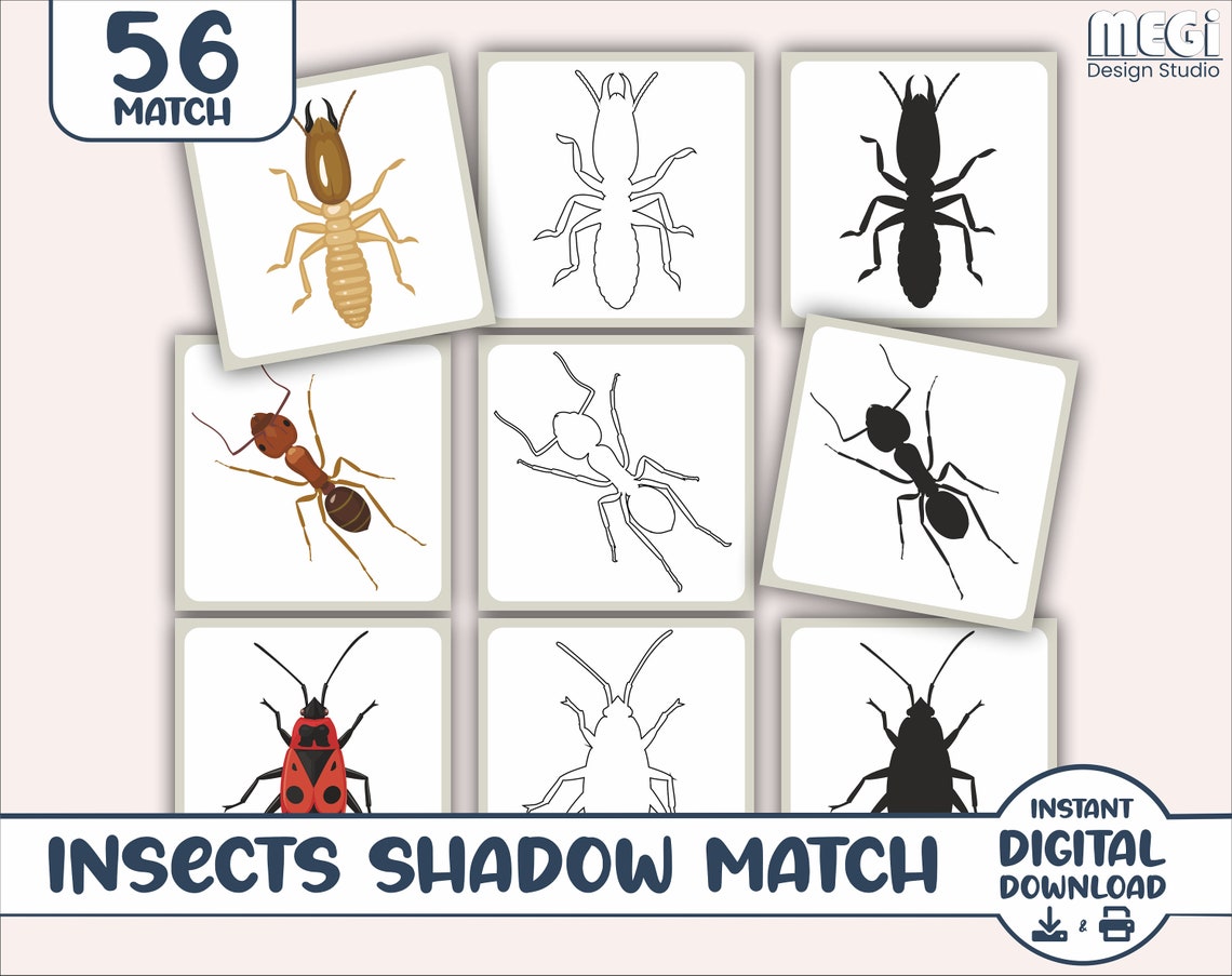 Insect Shadow Match Game With Realistic Pictures 28 Insect - Etsy