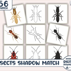 Insect Shadow Match Game With Realistic Pictures 28 Insect - Etsy